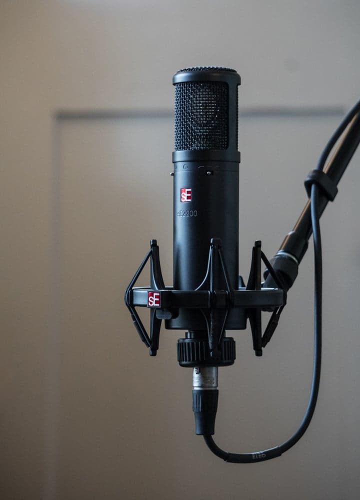 sE Electronics sE 2200 Condenser Microphone - DJ City