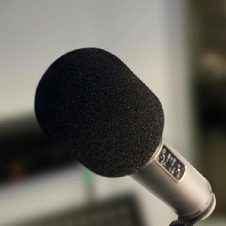 Rode WS2 Pop Filter Windshield for Larger Microphones