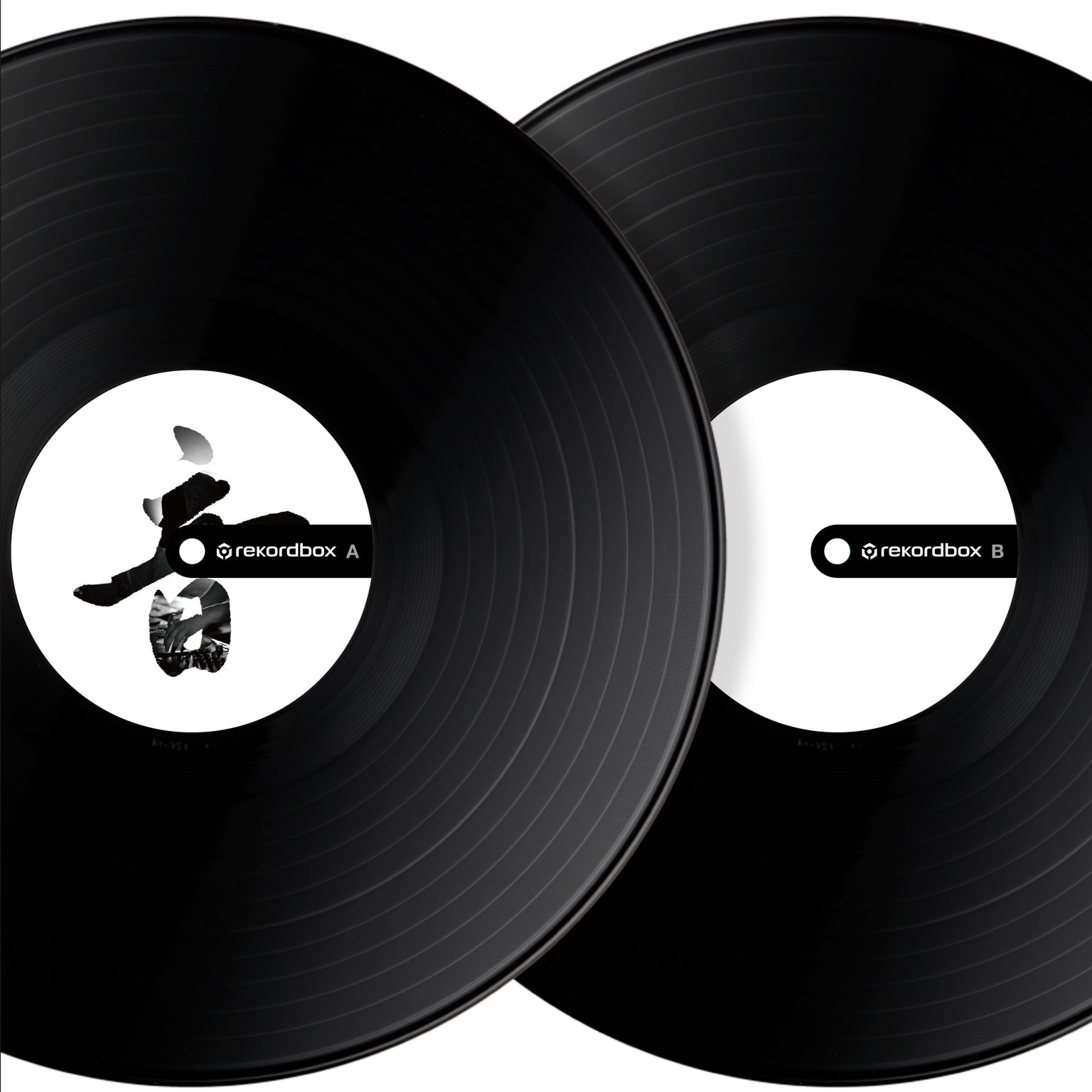 Pioneer DJ RB-VD2-K Rekordbox DVS Control Vinyl - Black (Pair)