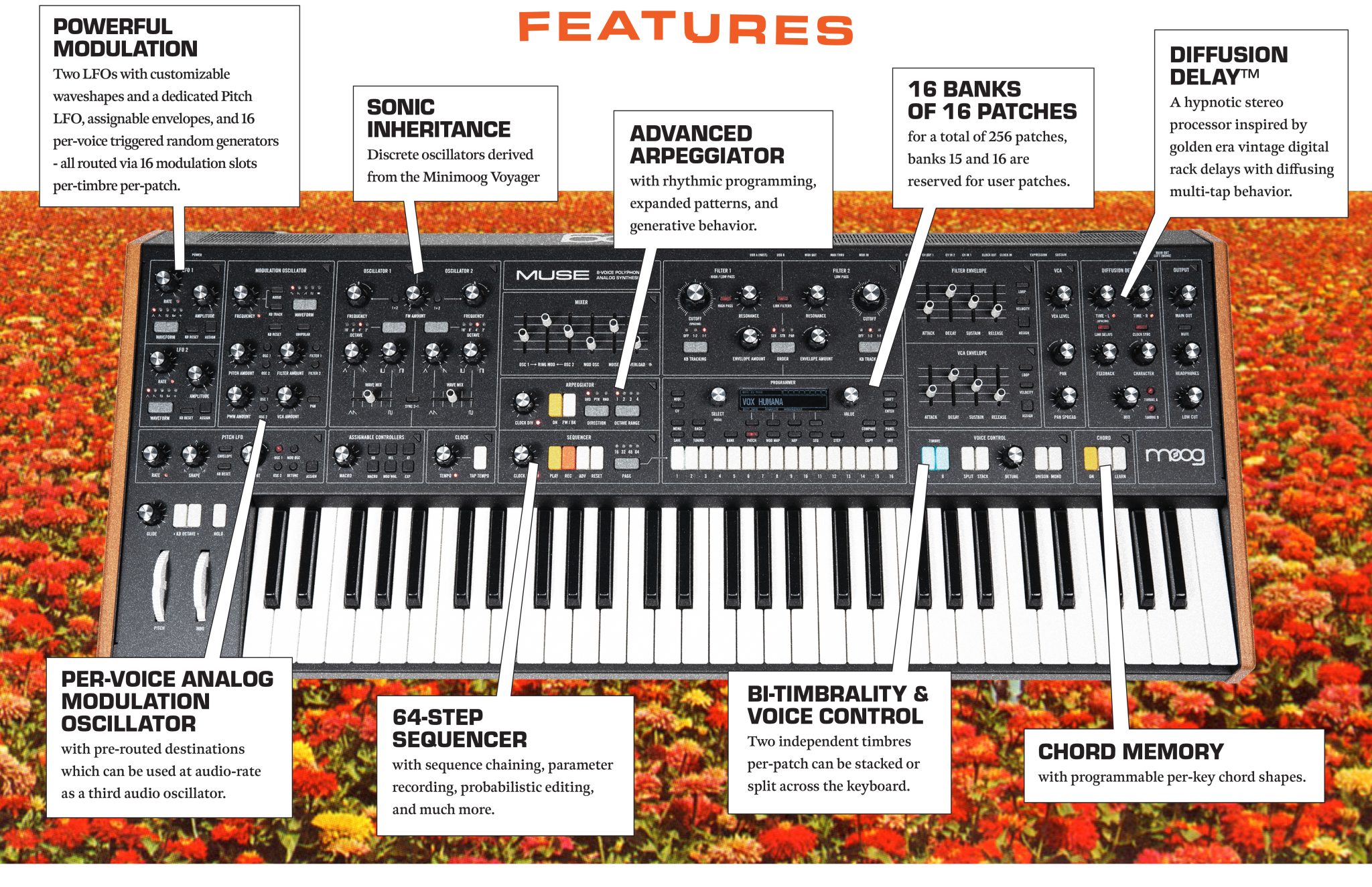 Moog Muse 8-Voice Analog Bi-Timbral Polyphonic Synthesizer